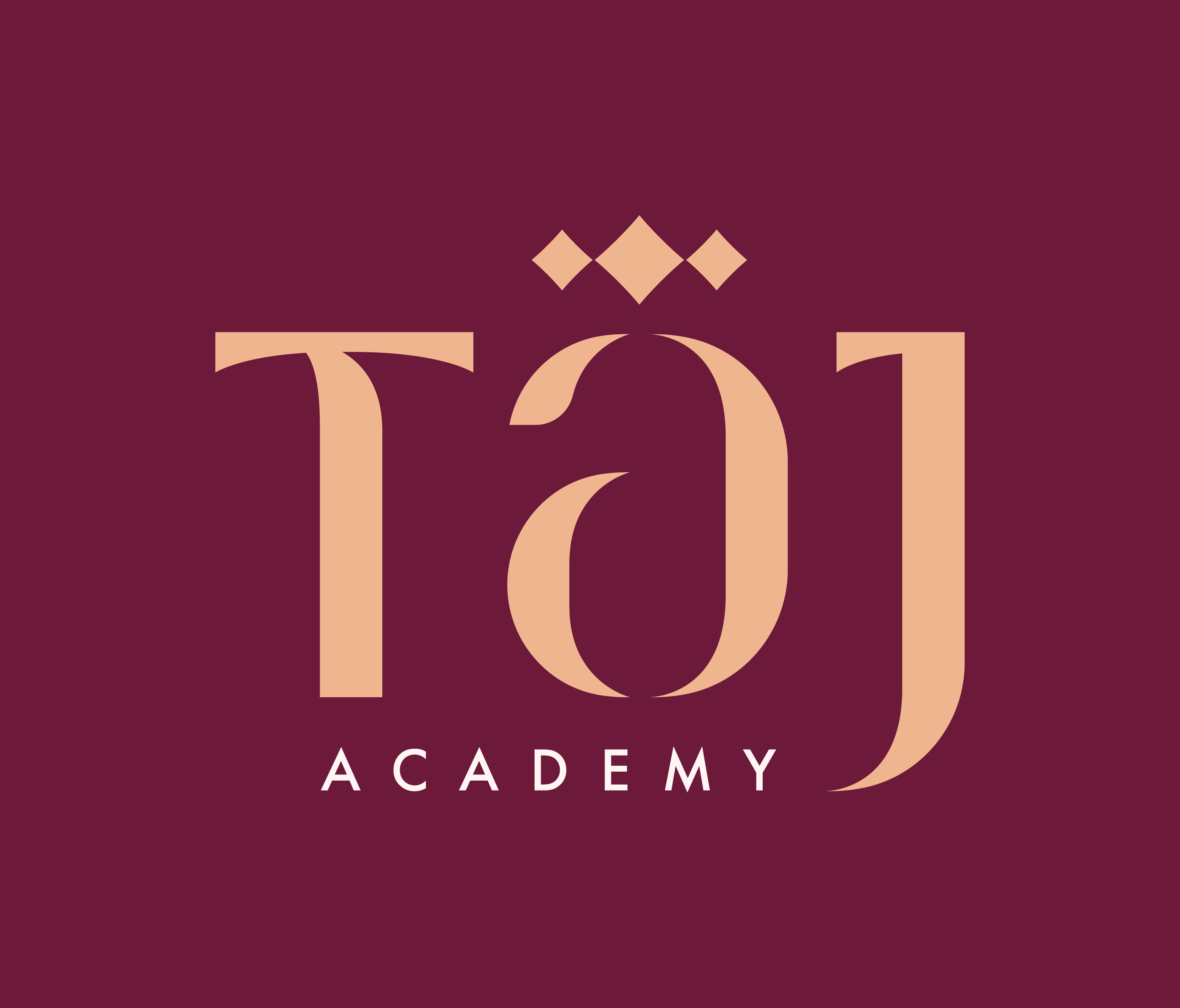TAJ ACADEMY